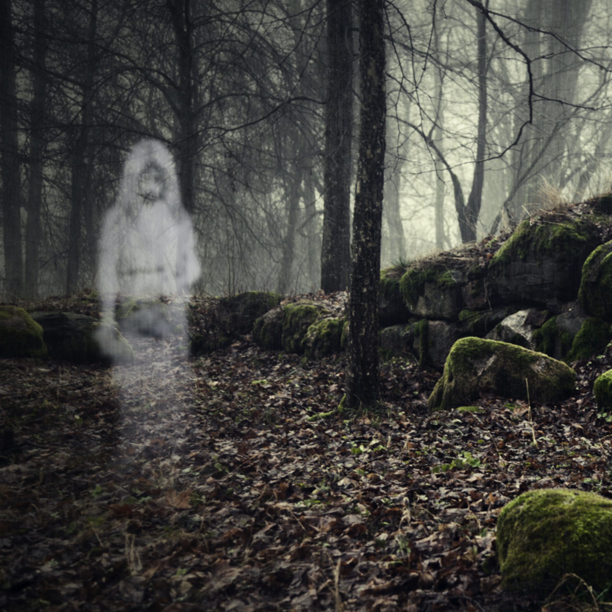 Be Awake | Science-Based Awakening | Spiritual Awakening